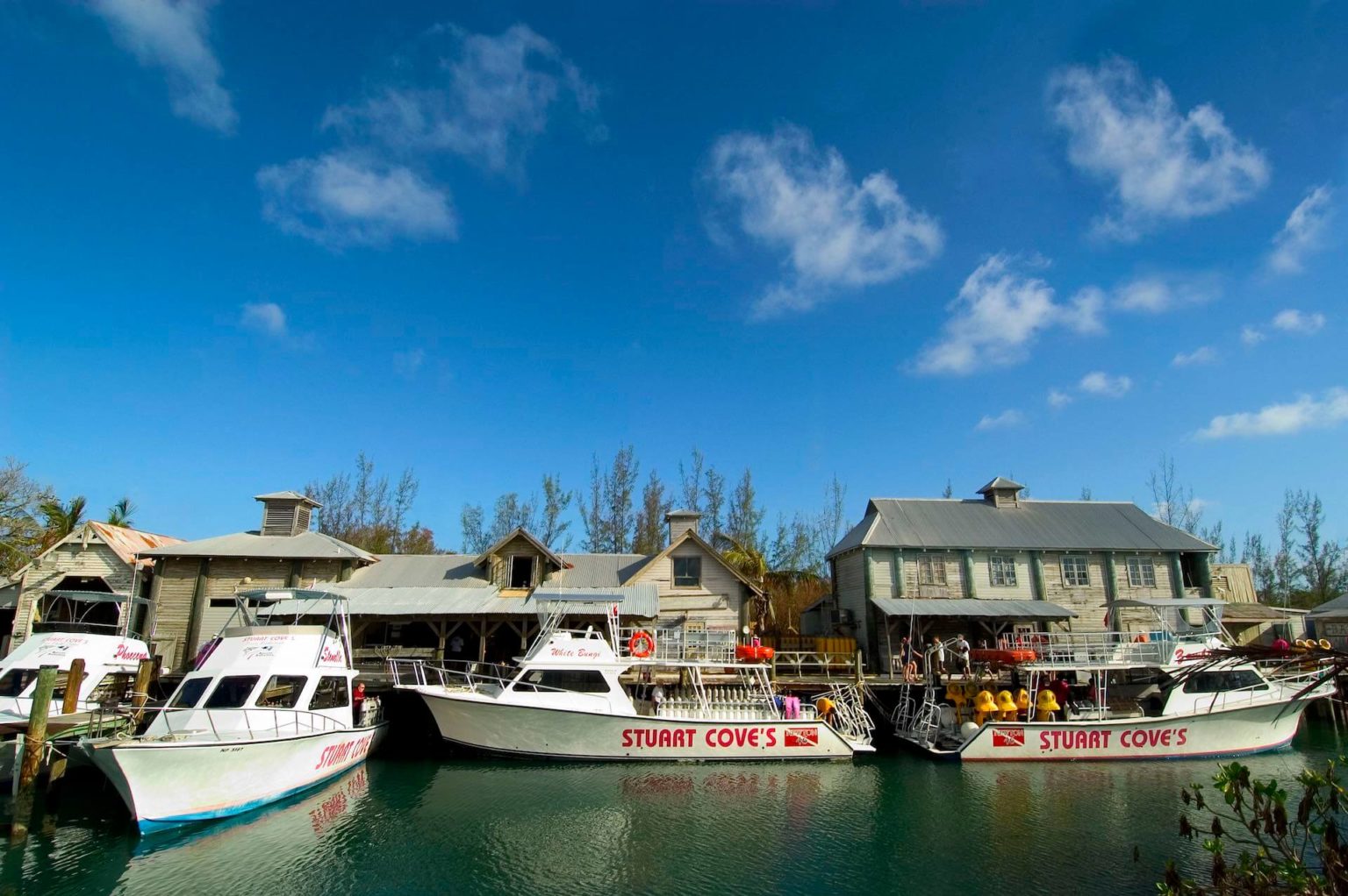Scuba Diving - Stuart Coves - Bahamas Dive Shop & Tours