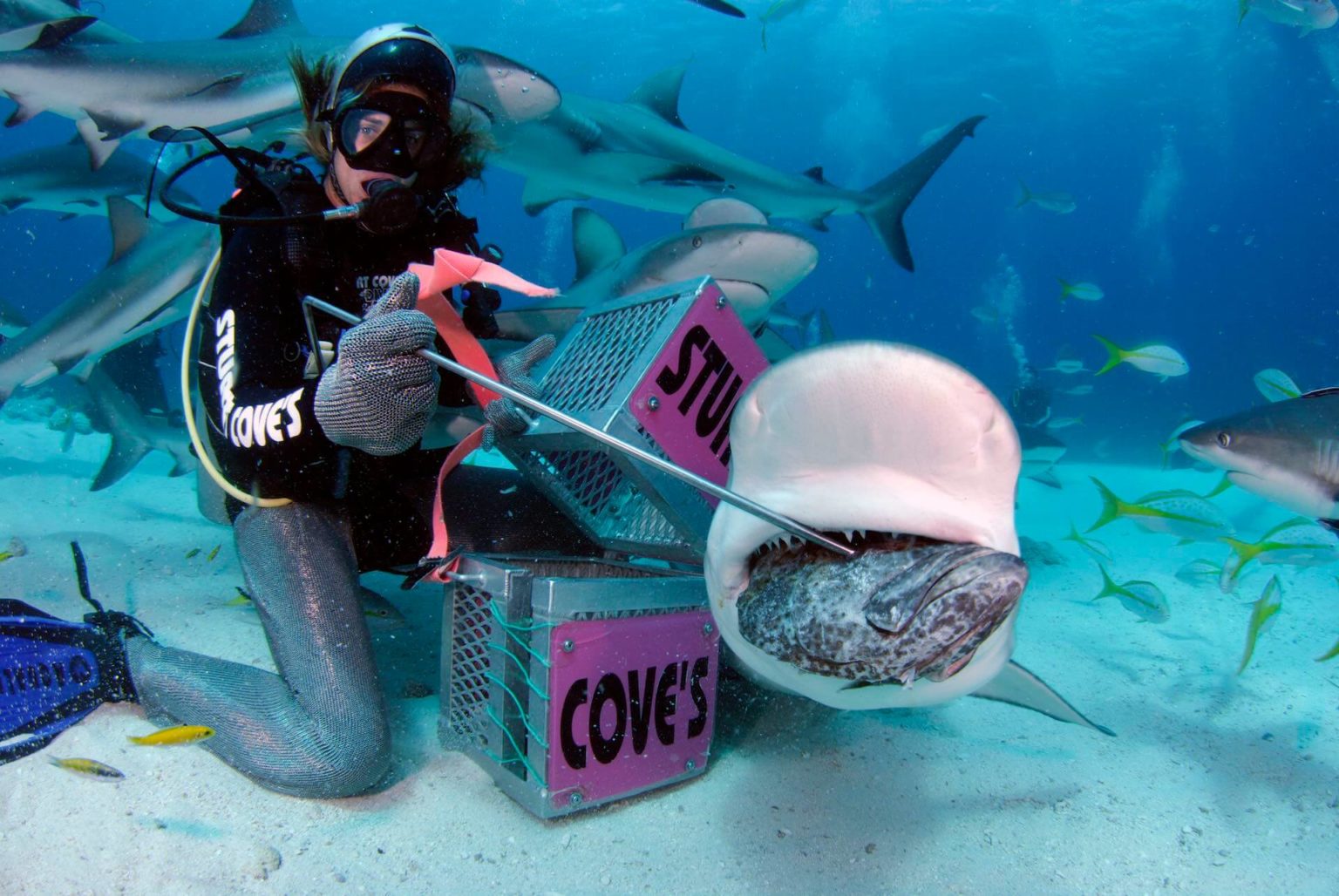 Scuba Diving - Stuart Coves - Bahamas Dive Shop & Tours