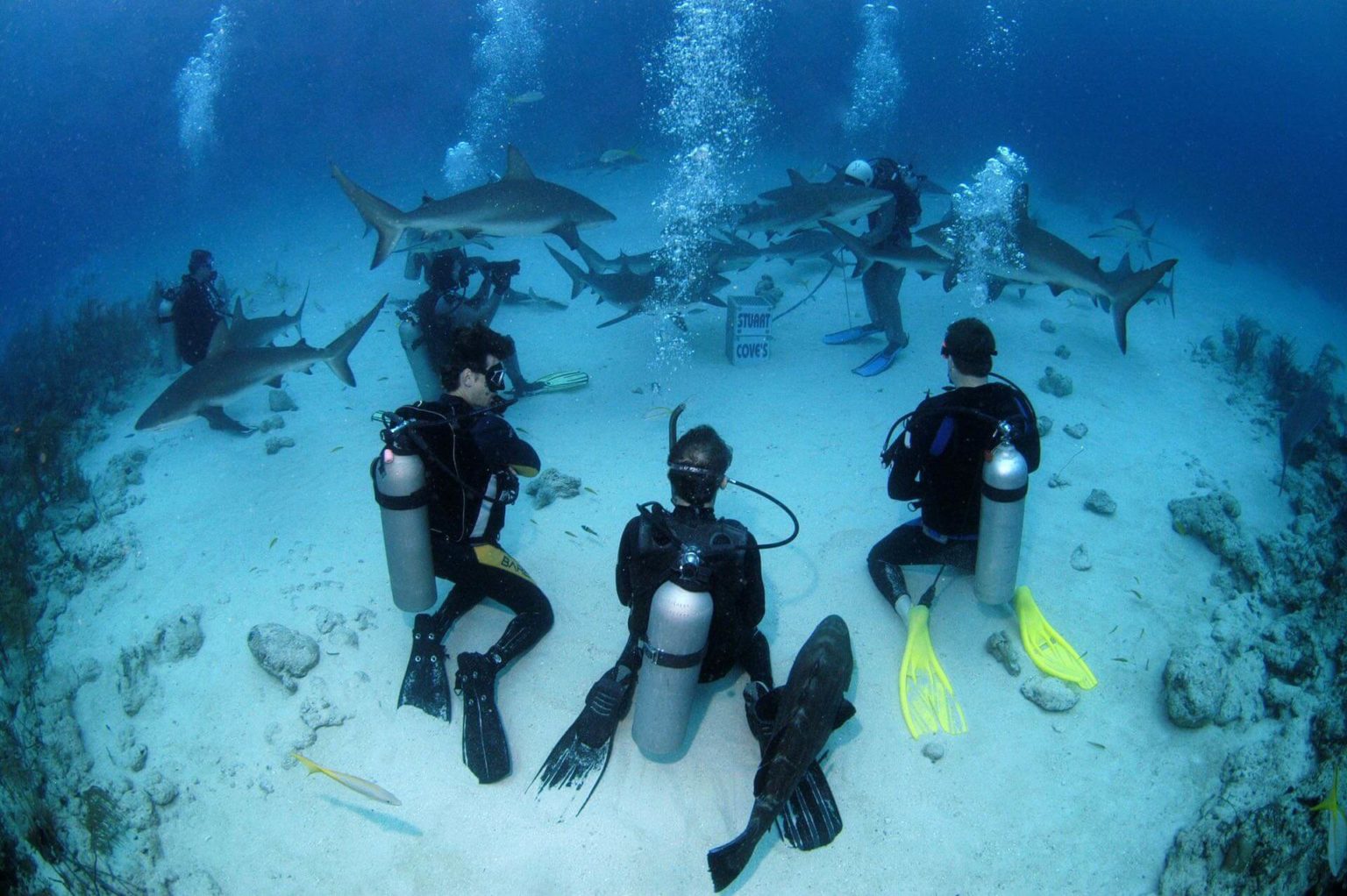 Scuba Diving - Stuart Coves - Bahamas Dive Shop & Tours