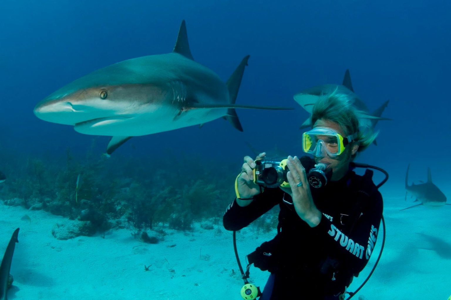 Scuba Diving - Stuart Coves - Bahamas Dive Shop & Tours