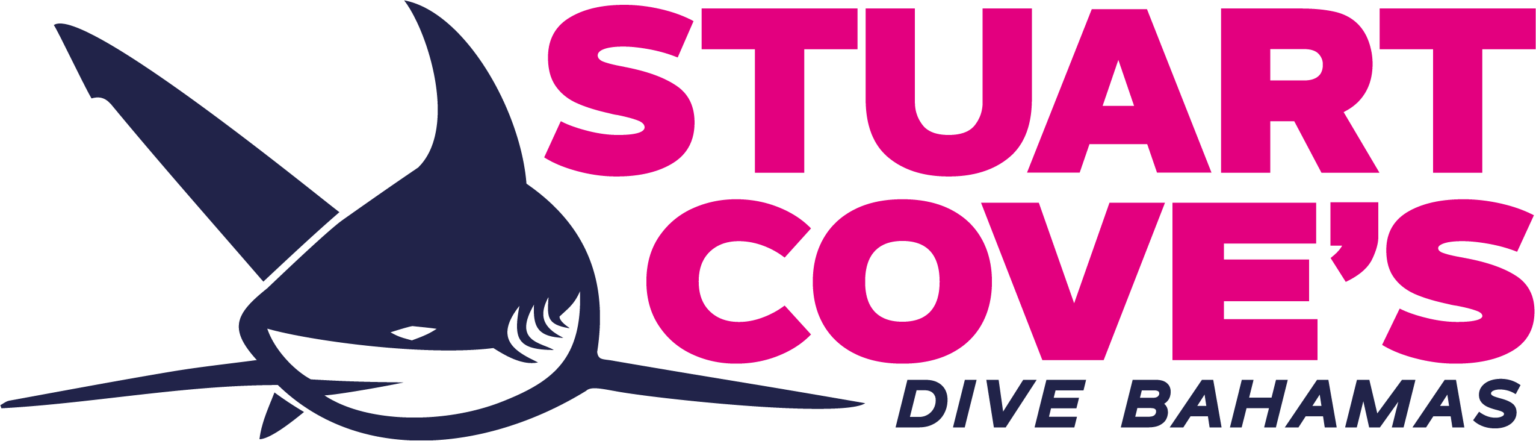 Shark Diving - Stuart Coves - Bahamas Dive Shop & Tours